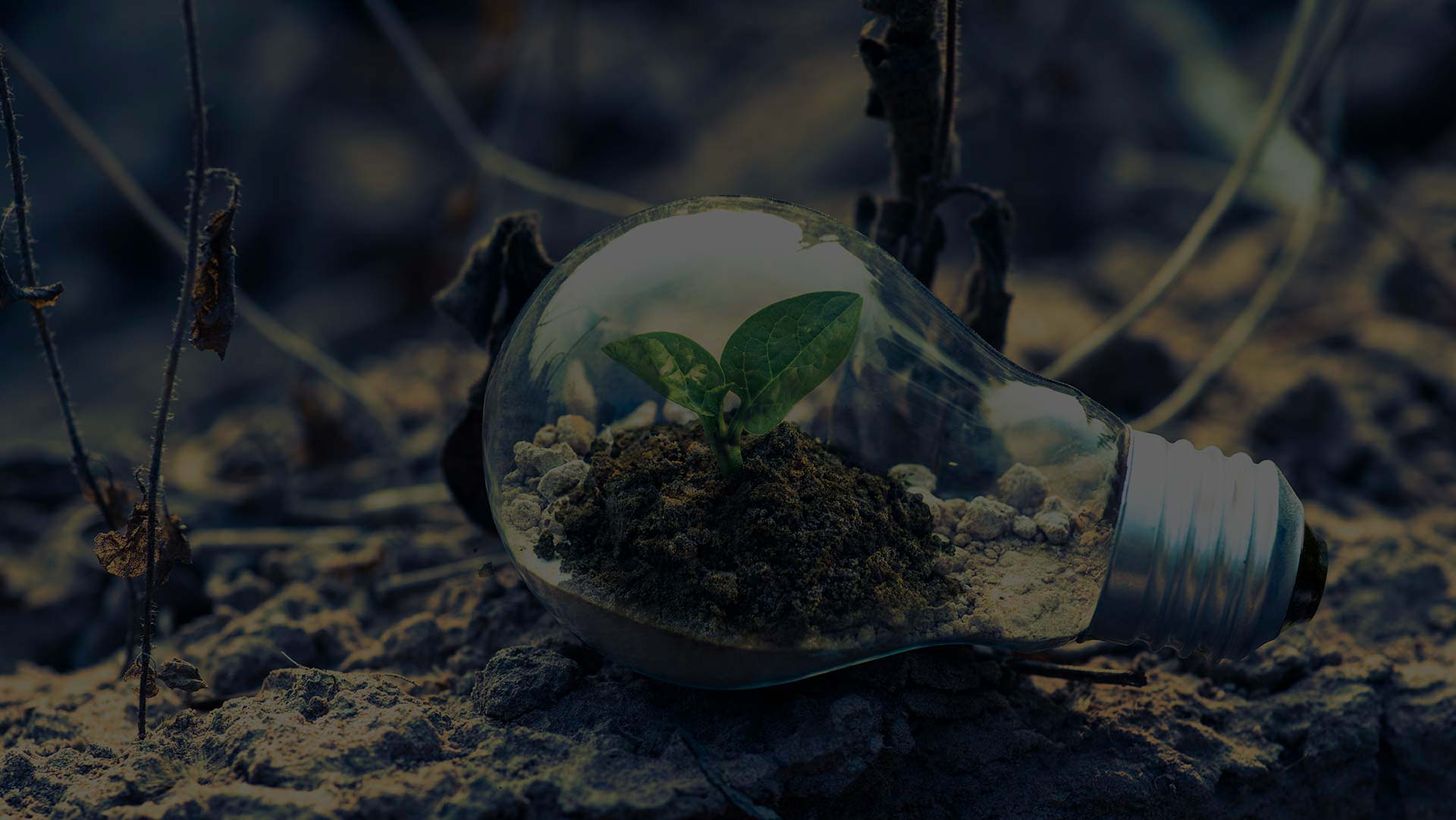 Home - Absolute Energy Solutions